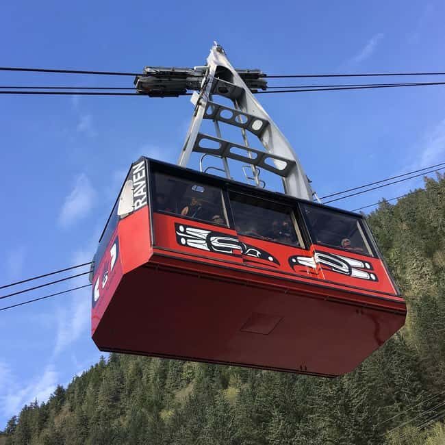 Juneau: Mount Roberts Tram Ride with App and Map - Who Should Consider This Tour?