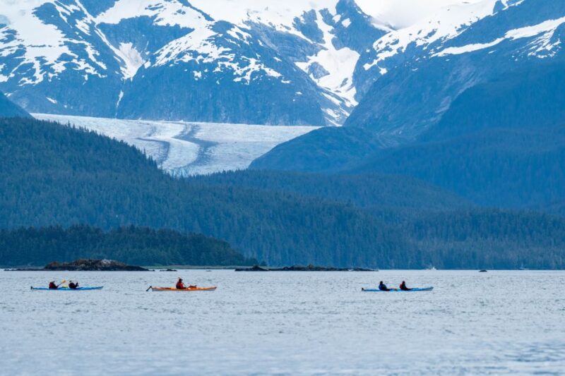 Juneau: Paddle with Whales Kayak Adventure - What’s Included and What’s Not