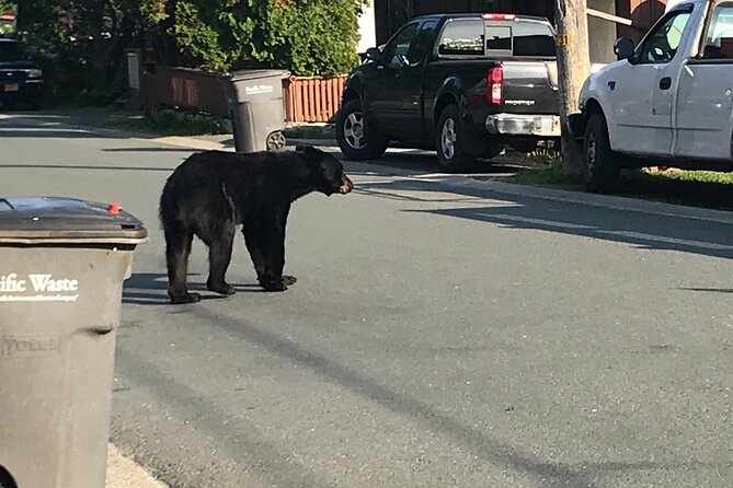 Juneau Private 3 Hour Scenic Road Trip - Unique Cultural Attractions and Experiences