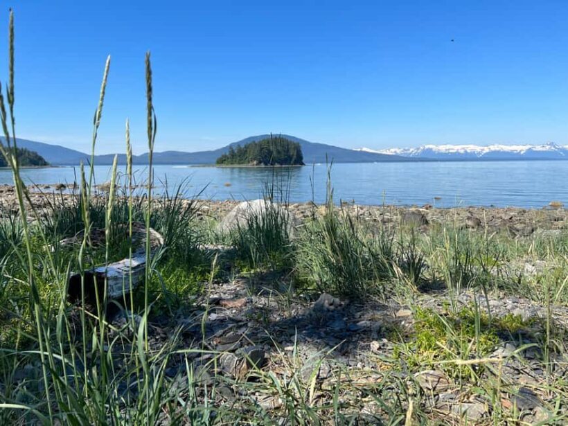 Juneau: Rainforest Photo Safari on a Segway - The Experience of Riding a Segway in Alaska