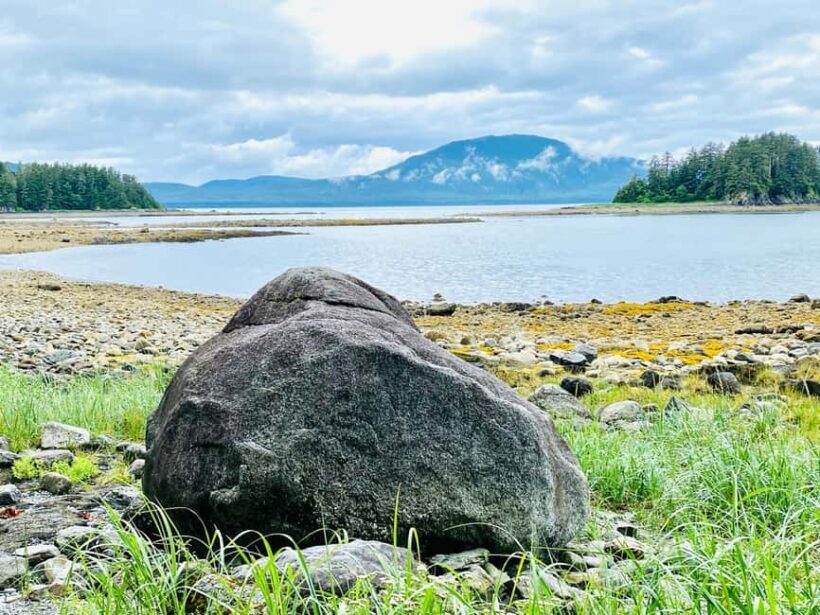 Juneau: Rainforest Photo Safari on a Segway - The Sum Up