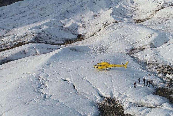 Juneau Shore Excursions: Helicopter Dogsledding Experience and Additional Glacier Landing - FAQ