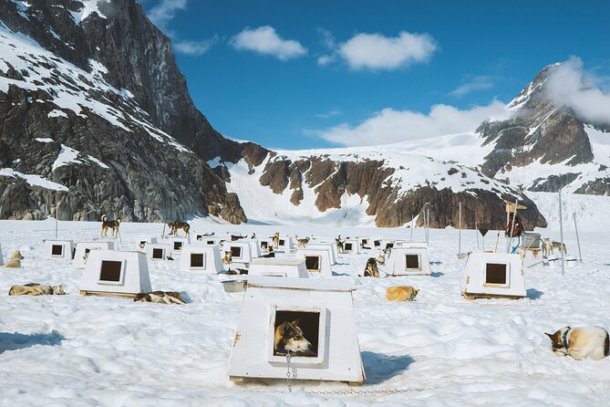 Juneau Shore Excursions: Juneau Helicopter Tour & Dogsledding Experience - Important Weight Restrictions