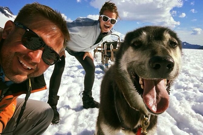Juneau Shore Excursions: Juneau Helicopter Tour & Dogsledding Experience - Positive Customer Feedback