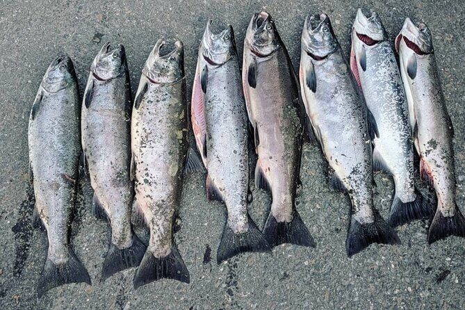 Juneau Shore Fishing Shuttle and Gear - The Sum Up: Who Should Consider This?