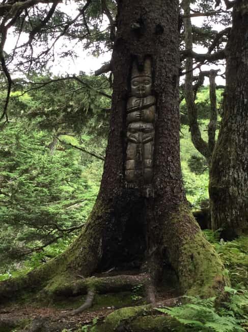Juneau: Taste of Alaska Tour - Final Thoughts: Is It Worth It?