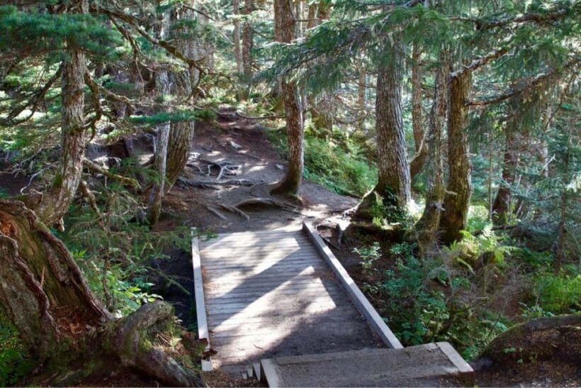 Juneau: Tram, Trails and Ale Tour - Juneau: Tram, Trails and Ale Tour — A Detailed Look