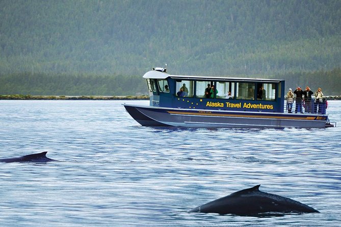 Juneau Whale Watching Adventure - Final Words