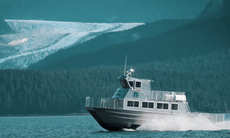 Juneau: Whale Watching and Wildlife Cruise with Local Guide - The Sum Up