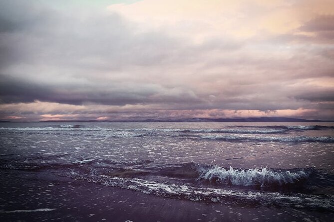 Juneau Wildlife Whale Watching - FAQ