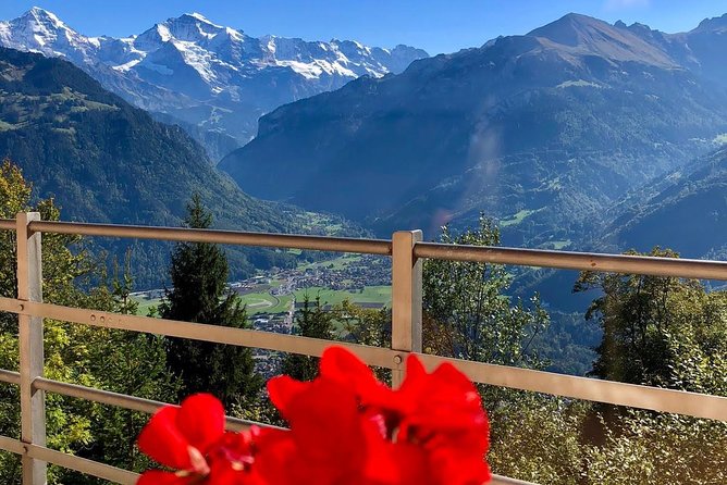 Jungfraujoch (Private Tour) - Practical Tips for Making the Most of Your Tour