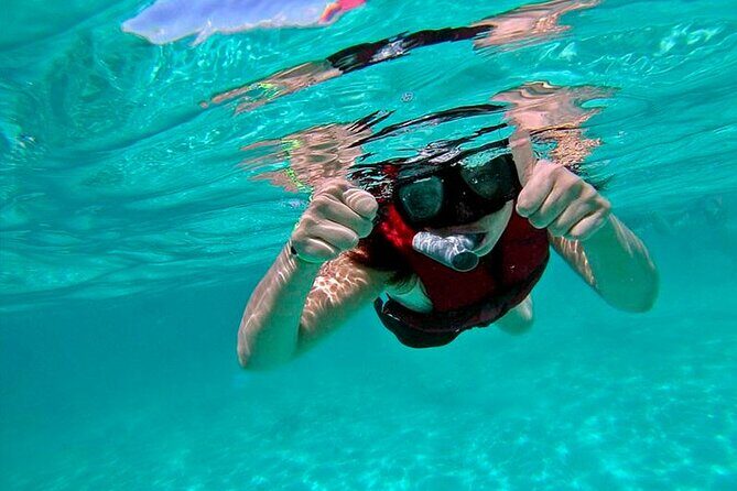 Jungle Adventure Tour in Cancun by Speedboat with Snorkeling - The Itinerary Breakdown