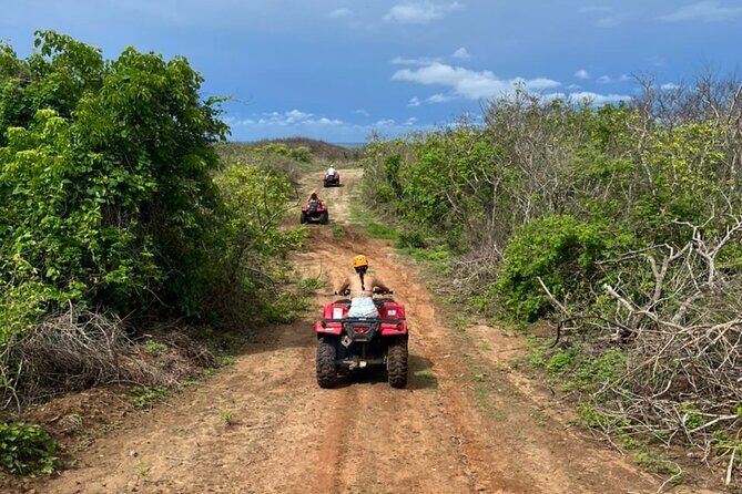 Jungle and beach ATV tour + lunch + tequila tasting - Practical Details and What to Expect