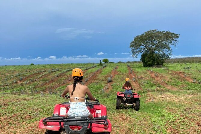 Jungle and beach ATV tour + lunch + tequila tasting - FAQ