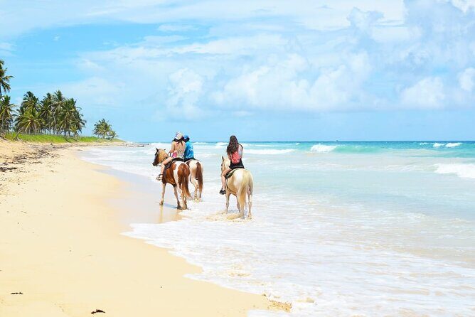 Jungle and Beach Horse Ridding round trip transportatin. - An In-Depth Look at the Tour Itinerary