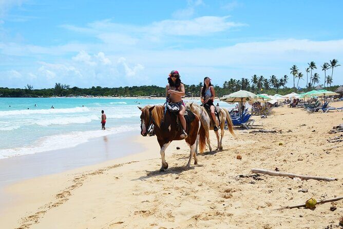 Jungle and Beach Horse Ridding round trip transportatin. - Practical Considerations