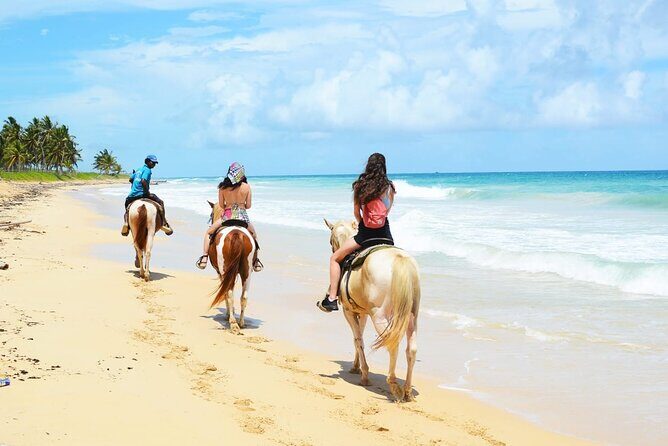 Jungle and Beach Horse Ridding round trip transportatin. - FAQs