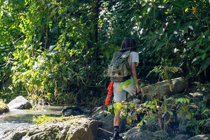 Jungle and Waterfall Adventure - Exploring the Itinerary in Detail