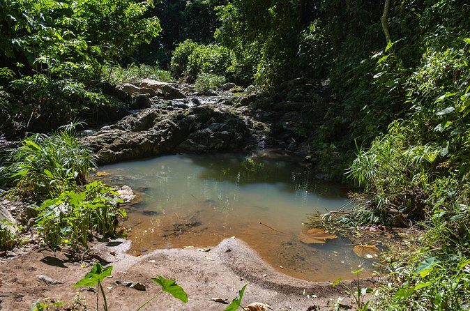 Jungle and Waterfall Adventure - Practical Details: What You Need to Know