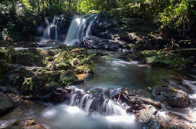 Jungle and Waterfall Adventure - Final Thoughts