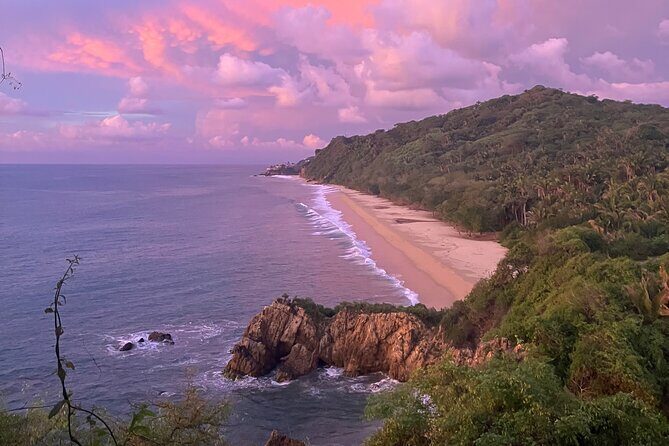 Jungle & Beach: Hidden treasures between the Jungle and the Coast - Introduction to the Jungle & Beach Tour