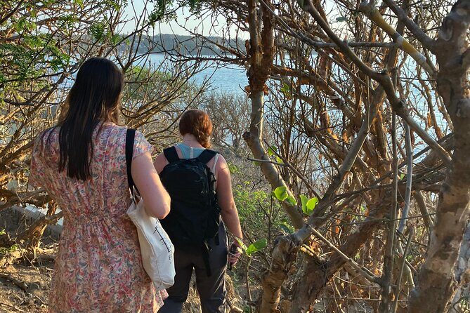 Jungle & Beach: Hidden treasures between the Jungle and the Coast - The Value of This Experience