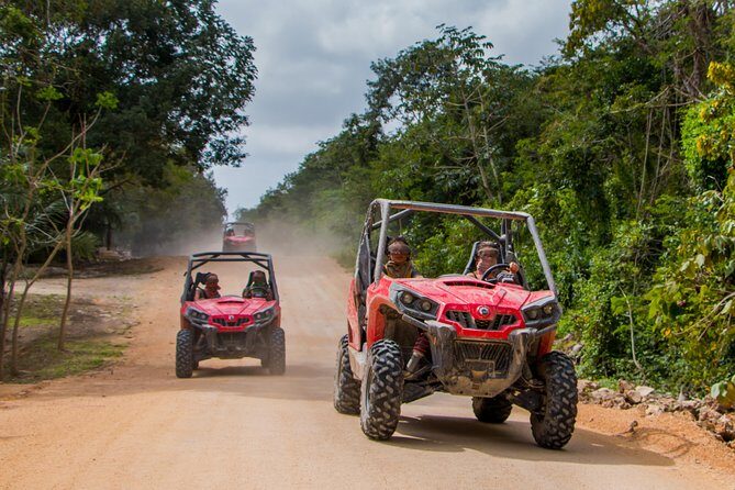 Jungle Buggy Tour from Playa del Carmen Including Cenote Swim - The Itinerary in Detail