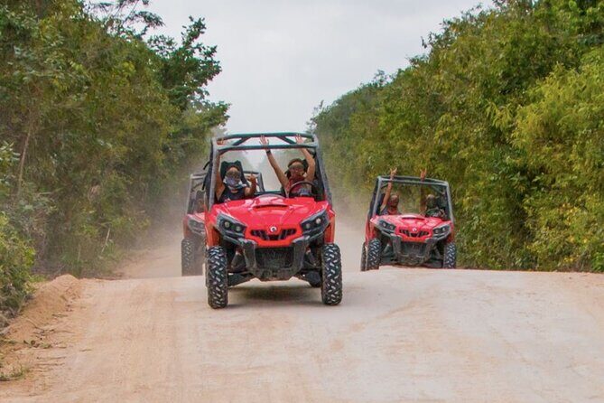 Jungle Buggy Tour from Playa del Carmen Including Cenote Swim - Group Size and Logistics