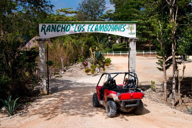 Jungle Buggy Tour from Playa del Carmen Including Cenote Swim - Who Will Love This Tour?