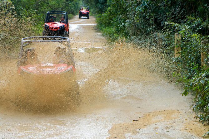Jungle Buggy Tour from Playa del Carmen Including Cenote Swim - The Sum Up