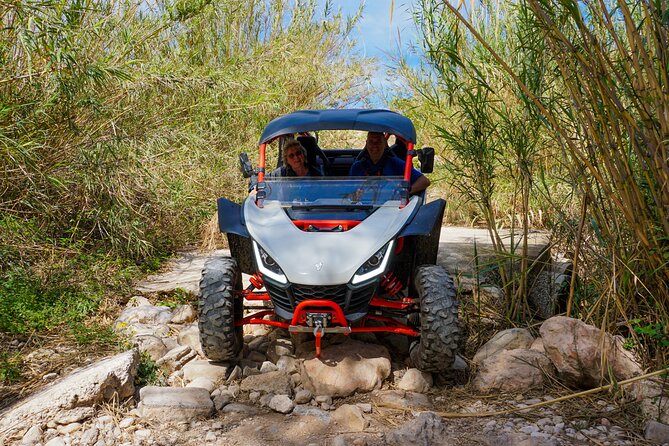 Jungle Buggy Tour in Benidorm - Overview of the Jungle Buggy Tour