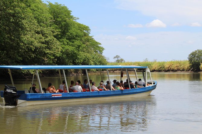 Jungle Cruise at Palo Verde National Park - Wildlife Sightings