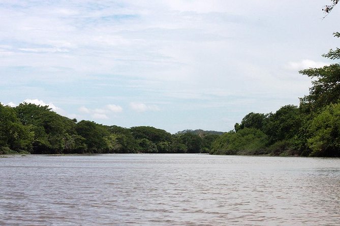 Jungle Cruise at Palo Verde National Park - Recommendations for Travelers