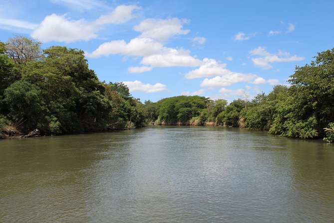 Jungle Cruise at Palo Verde National Park - Preparing for the Tour
