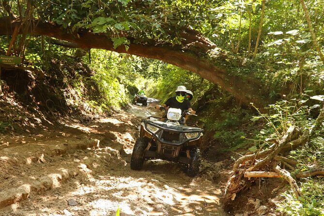 Jungle double ATV Tour "El Mirador" (ride tandem on ATV) - Authenticity and Customer Feedback