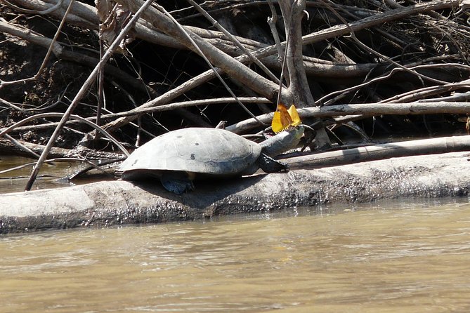 Jungle Eco Jungle And Adventure - 4 Days / 3 Nights - Activities and Experience