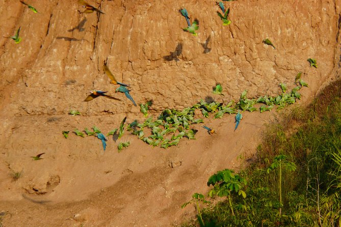 Jungle Eco Jungle And Adventure - 4 Days / 3 Nights - Customer Feedback and Recommendations