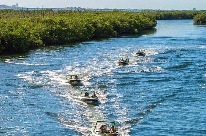 Jungle excursion EN Cancun (NO taxes included) - Snorkeling at Meco: A Vibrant Underwater World