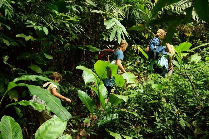Jungle Experience: 1 Day Trek in Nam Ha NPA - An In-Depth Look at the 1-Day Trek Experience