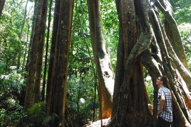 Jungle Experience: 1 Day Trek in Nam Ha NPA - What Past Travelers Say