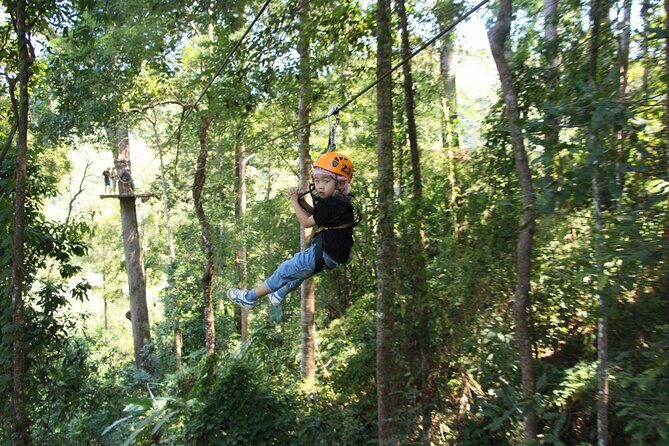 Jungle Flight Zipline Adventure From Chiang Mai - Who Will Love This Tour?