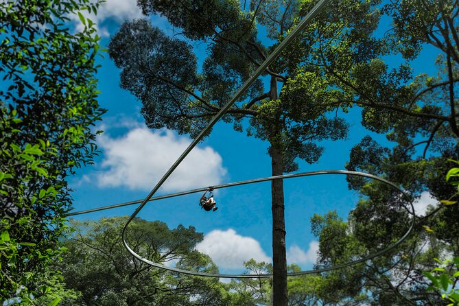Jungle Flight Zipline Roller Coaster - Insight from the Reviews: What Travelers Say