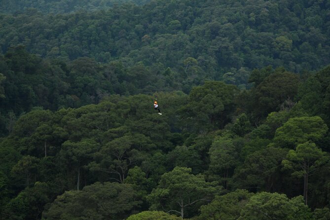 Jungle Flight Zipline Roller Coaster - The Sum Up: Who Will Love the Jungle Flight Zipline?