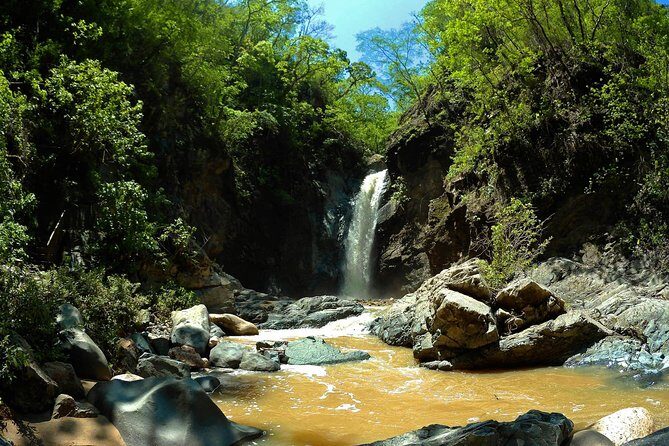 Jungle HorseBack Adventure to Las Palmas Waterfall All Included - Exploring the Itinerary