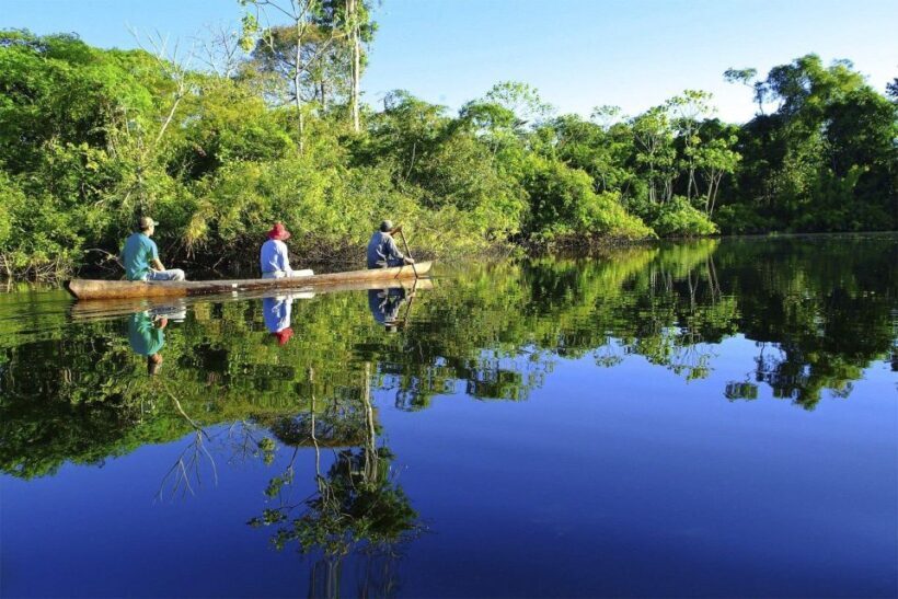Jungle Iquitos 3D |boating+Piranha fishing+night excursion| - Practical Tips for Your Jungle Adventure