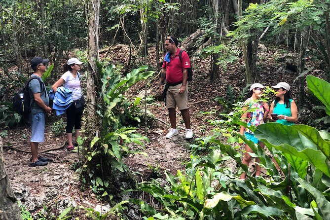 Jungle Jeep Adventure to Mayan Caves, Cenote and Snorkel - Starting Point and Logistics