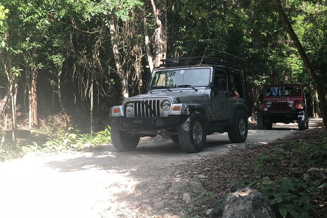 Jungle Jeep Adventure to Mayan Caves, Cenote and Snorkel - Who Should Book This Tour?