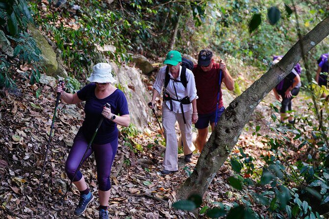 Jungle Life In Ba Be National Park 4 Days 3 Nights - FAQ: Your Practical Questions Answered
