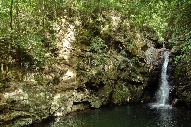 Jungle River Trek: Private Tour in Yanbaru, North Okinawa - Included Amenities