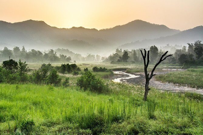 Jungle safari near Rishikesh inside Rajaji National Park - The Real Experience: Wildlife and Birdlife